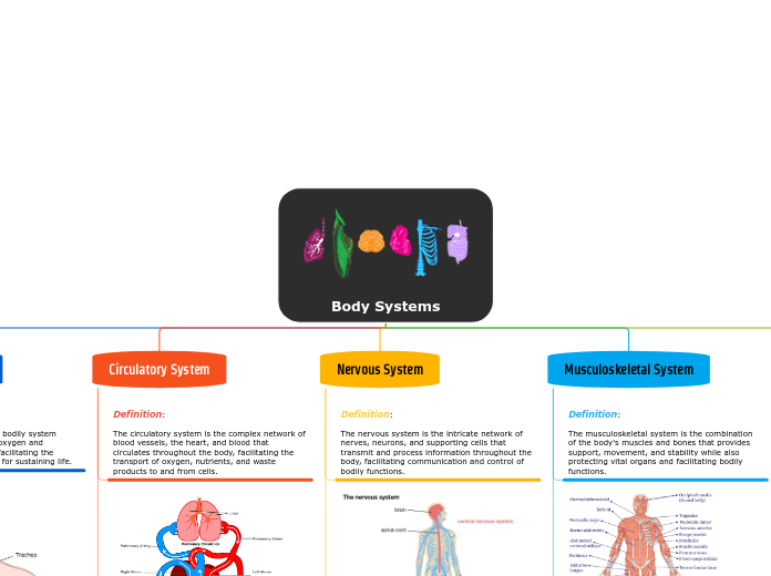 Body Systems Unraveled - Mind Map